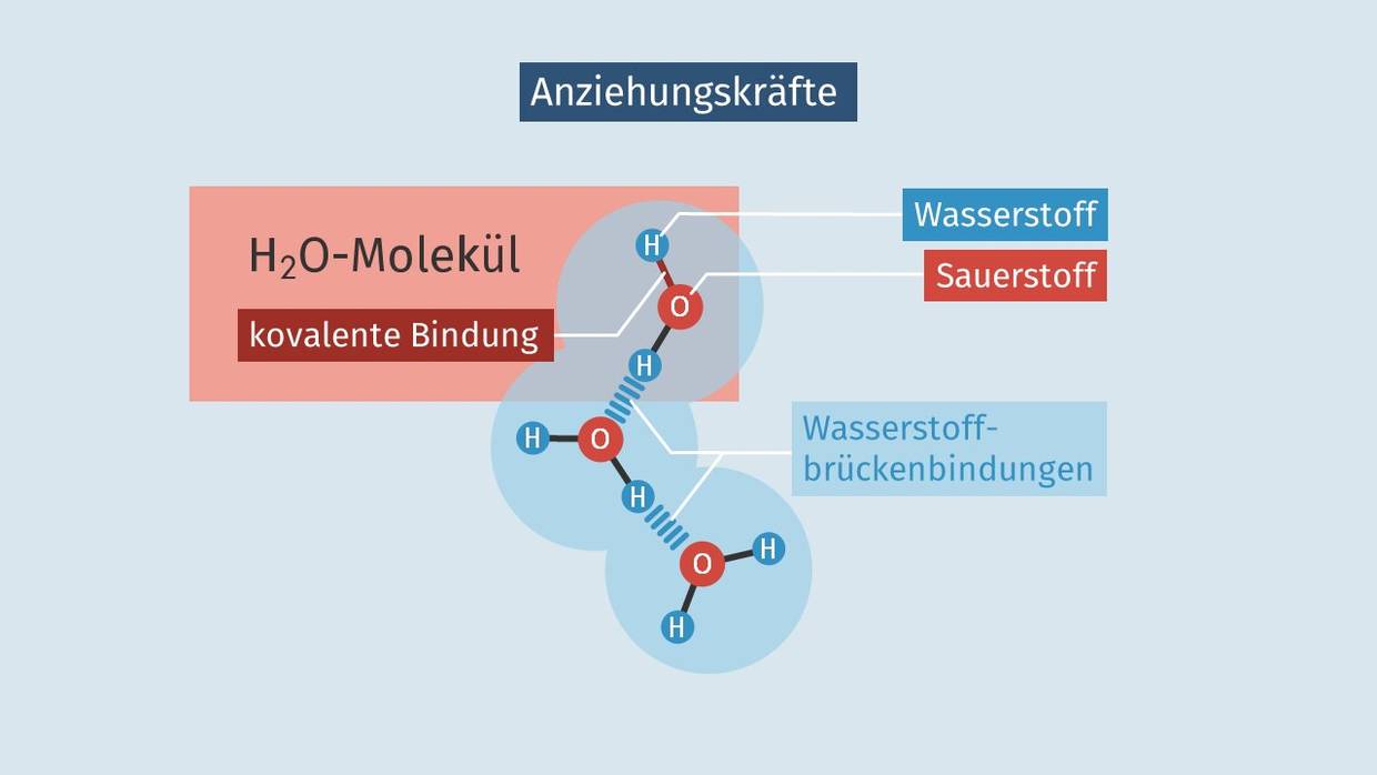 Wasserstoffbrückenbindung Erklärt I Inkl Übungen