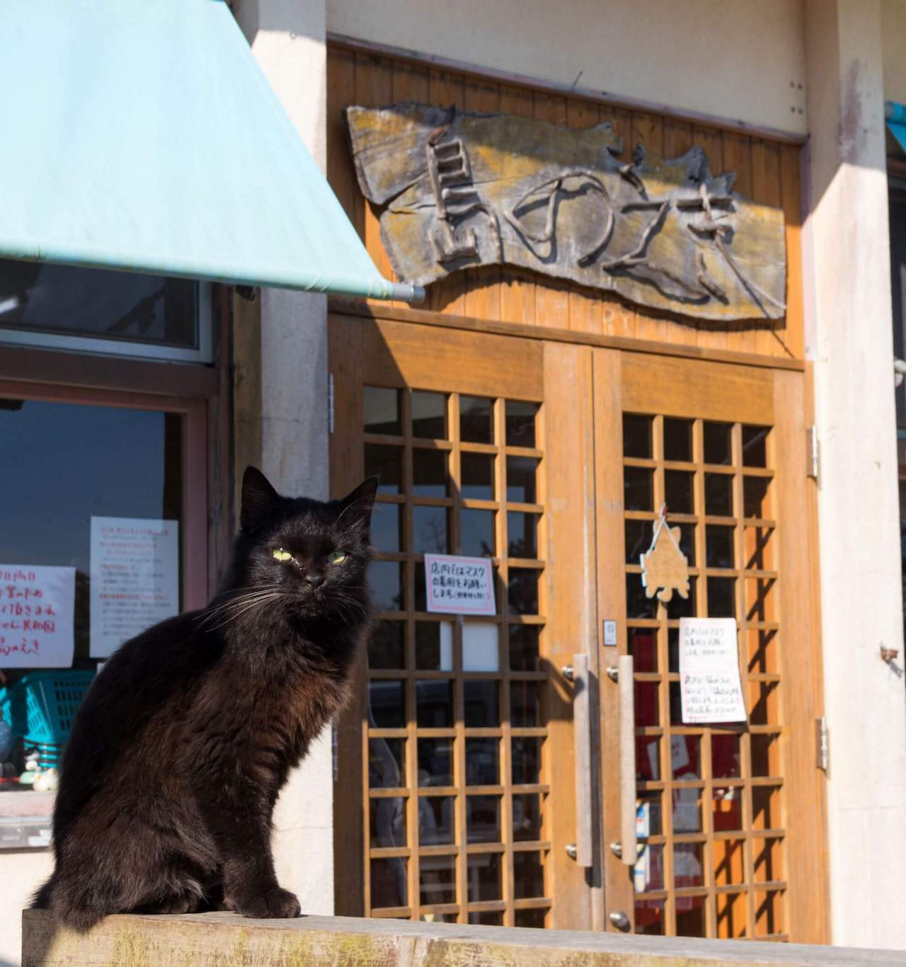 日本の猫島9選！猫好きの聖地で“最幸”の癒し旅