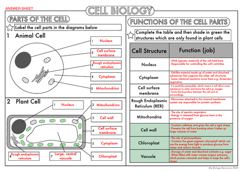 Gcse Biology Cell Biology Worksheet Pack Updated Teaching Resources