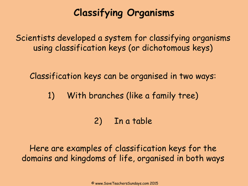 Classification Keys Ks2 Lesson Plan Powerpoint And Worksheet