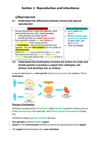 Igcse Biology Revision Notes Teaching Resources