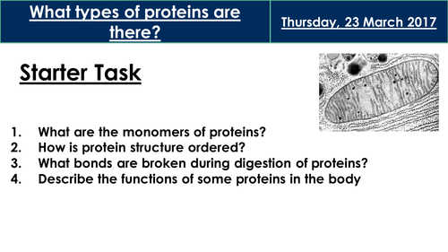 Aqa As Biology Section 1 Enzymes Teaching Resources