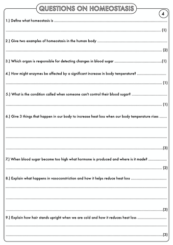 Homeostasis Worksheet Answers Graph