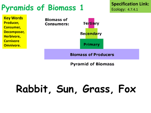 Ks4 Gcse Biology Energy And Biomass Revision Lesson Teaching Resources