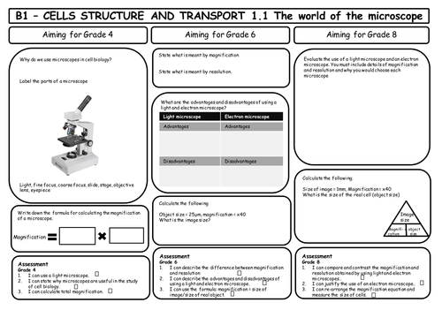 Aqa Gcse 9 1 Biology B1 Revision Sheets Differentiated Teaching