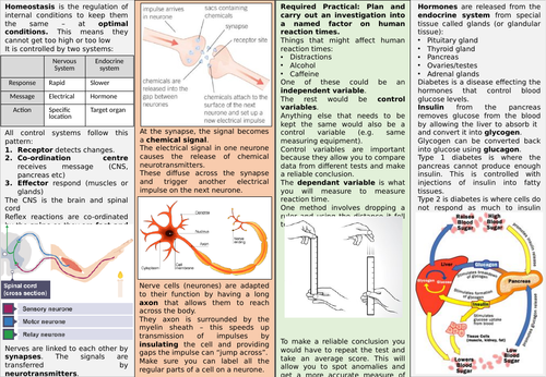 Aqa Biology Triple And Triology 9 1 Knowledge Organiser Homeostasis