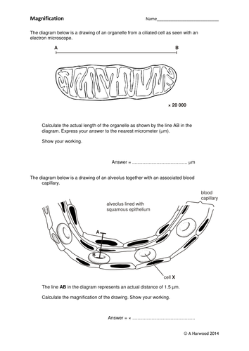 New Aqa Gcse Trilogybiology Magnification Teaching Resources