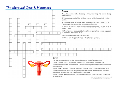 Menstrual Cycle And Hormones Crossword Edexcel Gcse 9 1 Combined