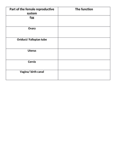 Gcse Biology Female Reproductive System Lesson 2 Teaching Resources