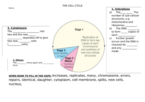 2018 Aqa Gcse Biology Unit 1 B1 Mitosis And The Cell Cycle L4