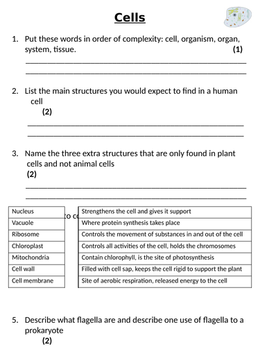 New Aqa Gcse Trilogy 2016 Biology Cells Homework Teaching Resources