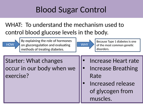 Gcse Biology Controlling Blood Glucose Levels Teaching Resources