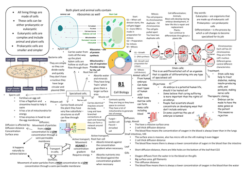 Aqa Gcse Biology 9 1 B1 Double Science Revision Summary Sheets