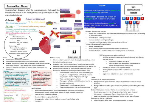 Aqa Gcse Biology 9 1 B2 Double And Triple Science Revision Summary