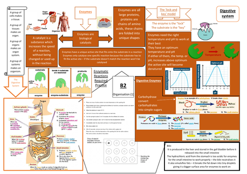 Aqa Gcse Biology 9 1 Paper1and2 Double And Triple Science Revision