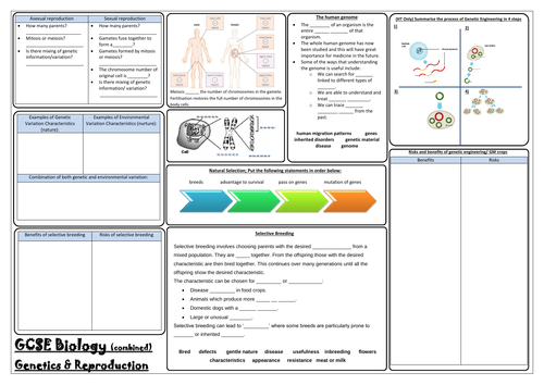 Aqa Gcse Biology 9 1 Paper 2 Revision Mats Combined Sciences