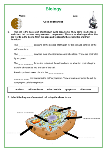 Aqa Ks3 Year 7 Introduction To Plant And Animal Cells Teaching Resources