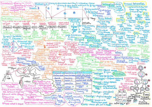 Biology Paper 2 Revision Mat Aqa Trilogy Foundation Teaching Resources