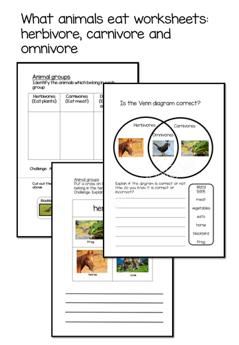 Animal Diets Carnivore Herbivore And Omnivore Ks1 Teaching Resources