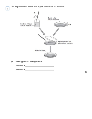 Aqa Gcse Biology 9 1 B53 Growing Bacteria In The Lab Full Lesson