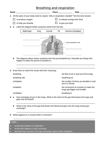 Aqa Combined Science Trilogy Biology Gcse Topic 2 B3 B4 Organisation