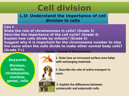 Gcse Science B2 Cell Division Aqa Powerpoints And Exam Questions