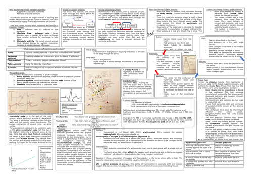 A Level Biology Transport In Animals Teaching Resources