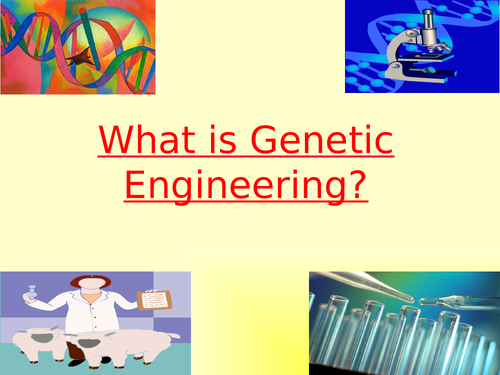 Genetic Engineering Teaching Resources