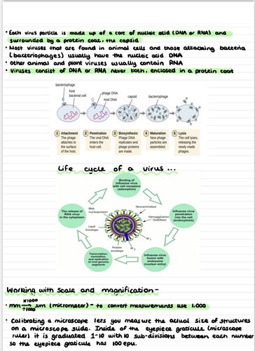 A Level As Biology Unit 1 Cell Organisation Teaching Resources