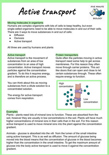 Gcse Aqa Biology Triple Higher Topic 1 Cells Revision Sheet Bundle