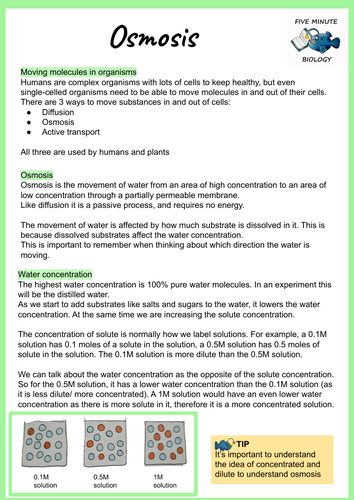 Aqa Gcse Biology Osmosis Revision Sheet Teaching Resources