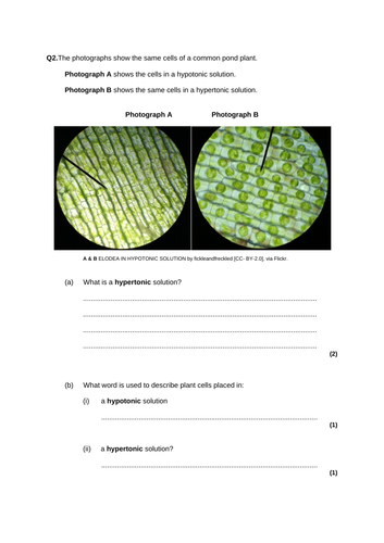 Aqa Gcse Biology L10 Osmosis Required Practical Teaching Resources