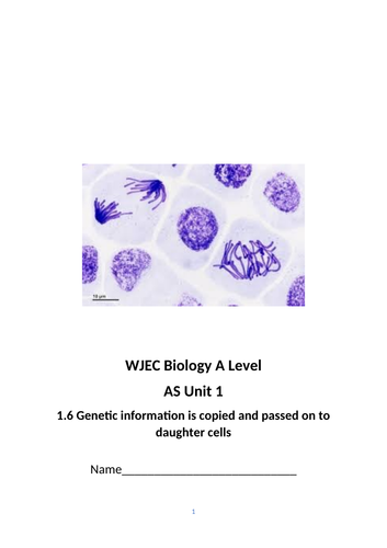 Wjec As Biology 16 Cell Cycle And Cell Division Teaching Resources