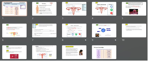 Ks3 Female Reproductive System Teaching Resources