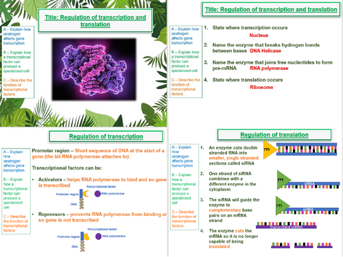 Gene Expression Aqa A Level Biology A2 Topic 20 Topic Bundle