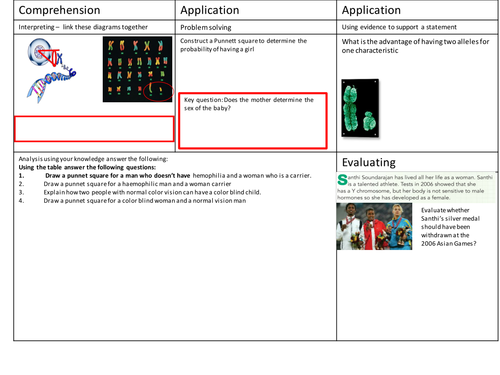 B3 Topic 1 Edexcel Sex Determination Teaching Resources