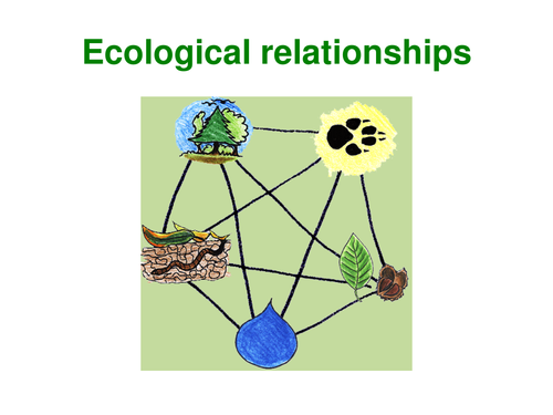 Ecological Relationships Teaching Resources