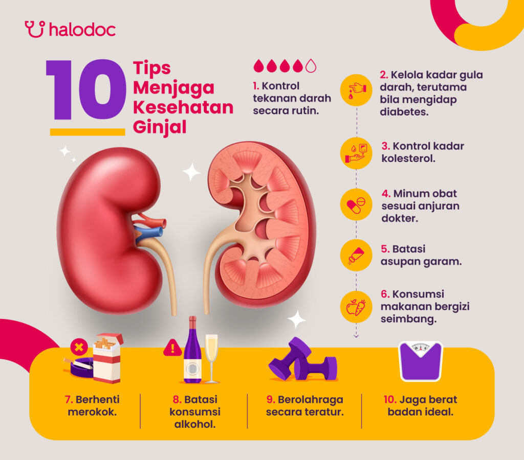 Pentingnya Rutin Memelihara Kesehatan Ginjal Sejak Dini