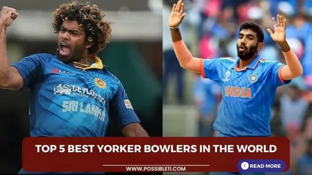 Top 5 Best Yorker Bowlers In The World