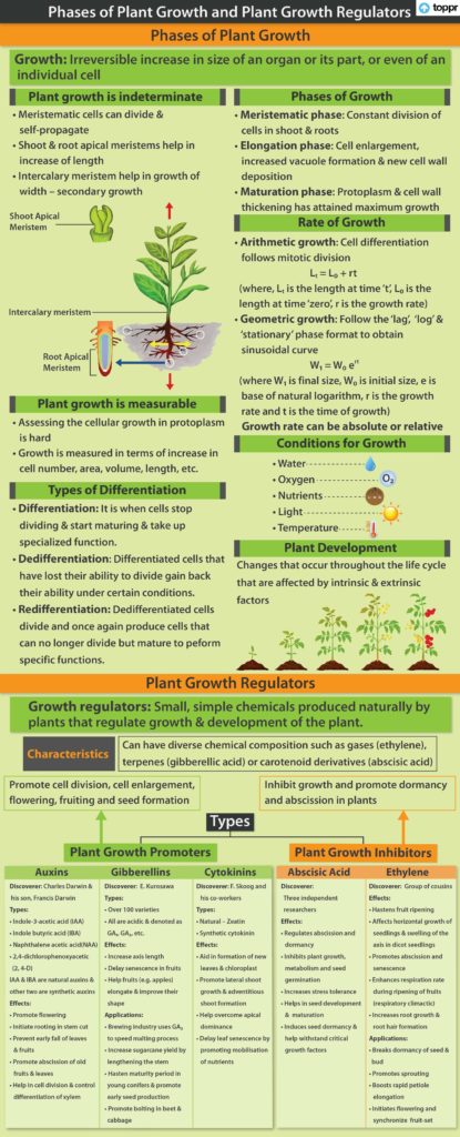 Plant Growth Regulators Auxins Gibberellins Abscisic Acid Examples