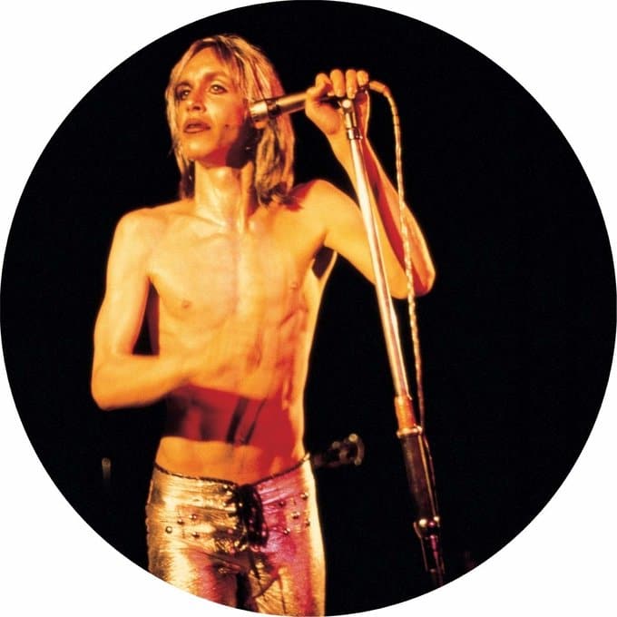 Iggy And The Stooges More Power A Gorgeous Picture Disc Vinyl Pict