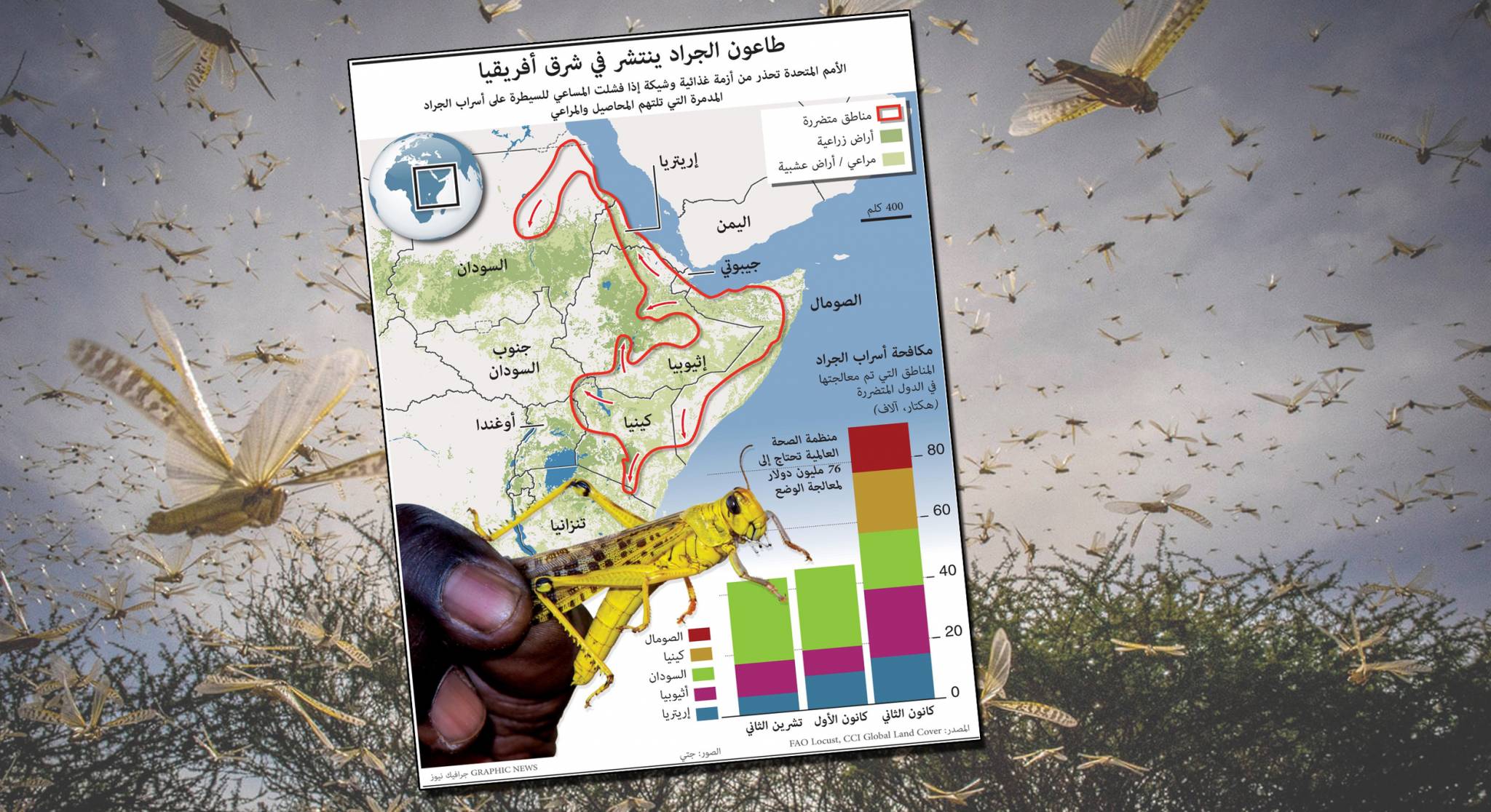 أسراب الجراد تنتشر في شرق إفريقيا وتدمر المحاصيل الزراعية