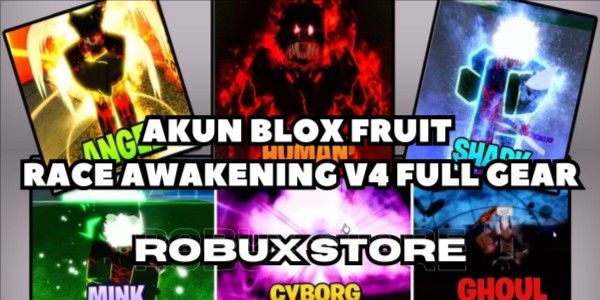 Buy Akun Akun Blox Fruit Race Angel V4 Full Gear Awakening God Human