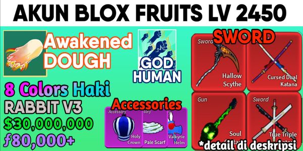 Beli Akun Akun Blox Fruits Level Max Full Awakening Dough Awakened