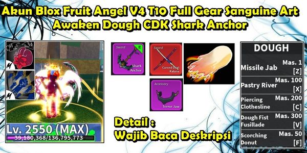 Buy Account Blox Account Fruit Race Angel V4 T10 Full Gear Level Max