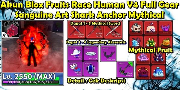 Beli Akun Akun Blox Fruits Race Human V4 Full Gear Sanguine Art Shark