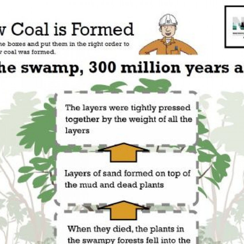 How Coal Is Formed Diagram • Mylearning