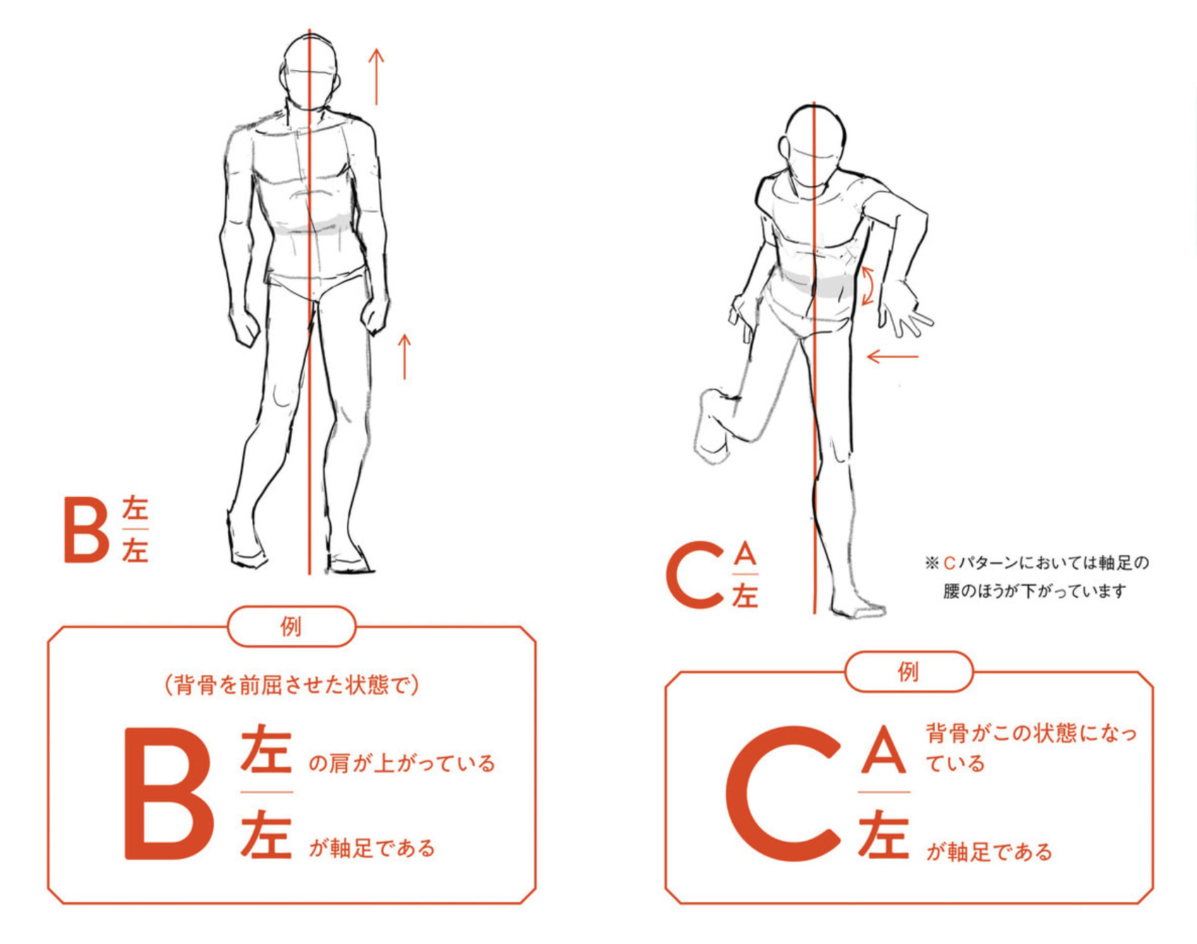 ポーズの定理 1 1『ポーズの定理』 描きたいものを理論でつかむ ポーズの定理