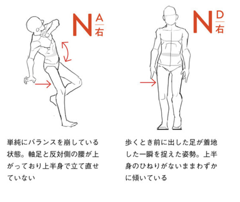 ポーズの定理 1 6『ポーズの定理』 描きたいものを理論でつかむ ポーズの定理