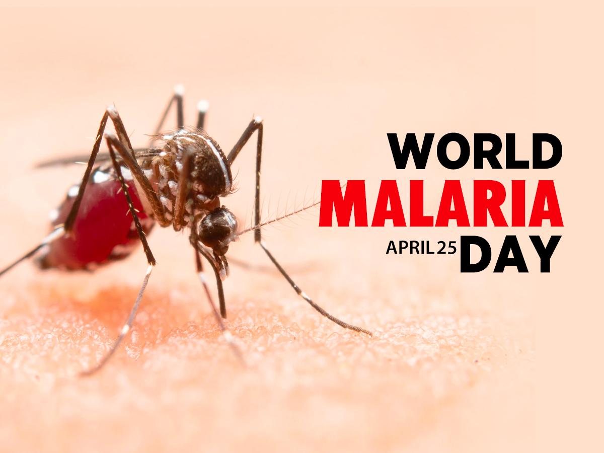 World Malaria Day 2024 Theme History And Significance